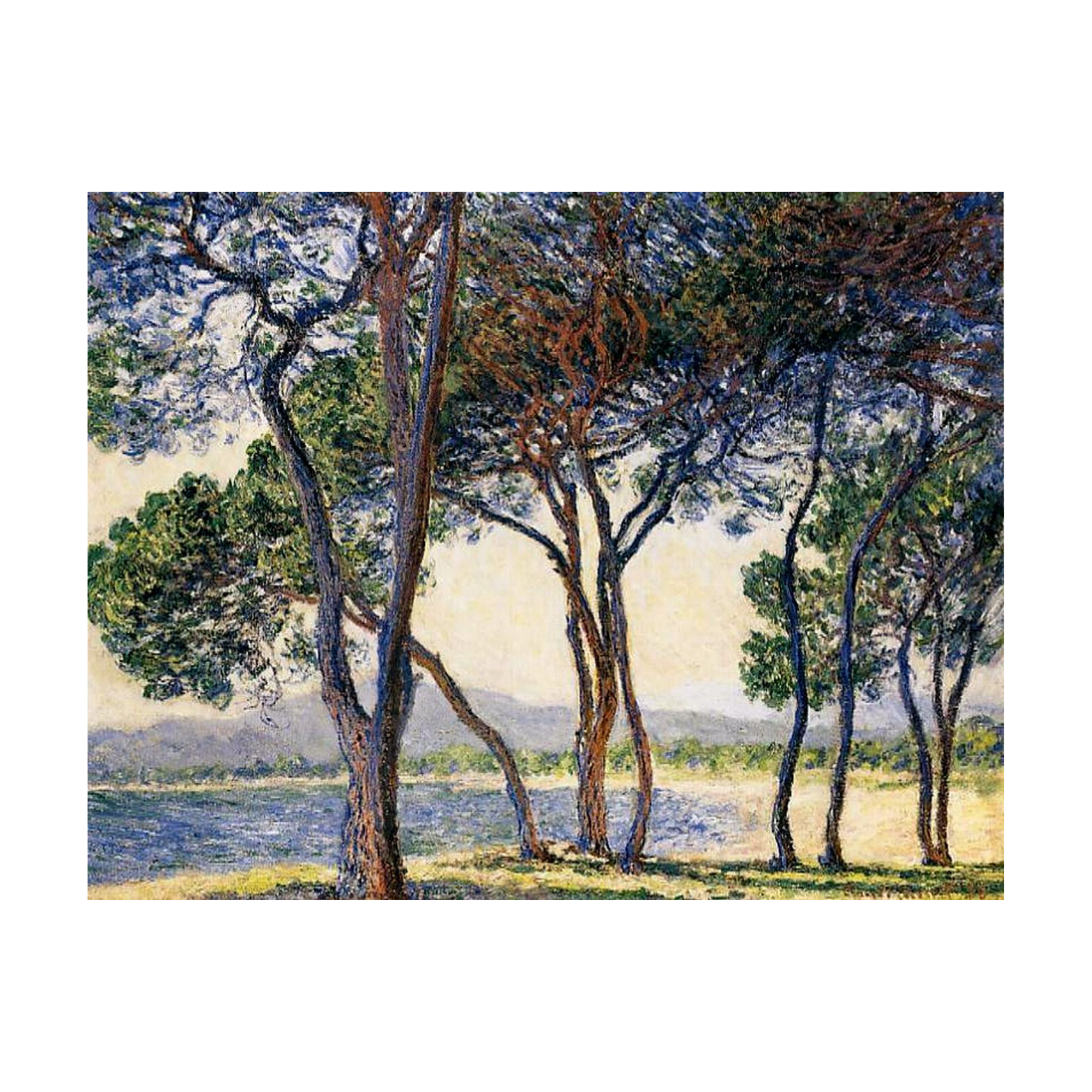 Monet Reproduction The Umbrella Pines at Antibes – Hand-Painted Canvas ...